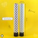 DIY Musical Rainstick Kit for Kids, Kids Craft Kits, Home Activity Kit ...