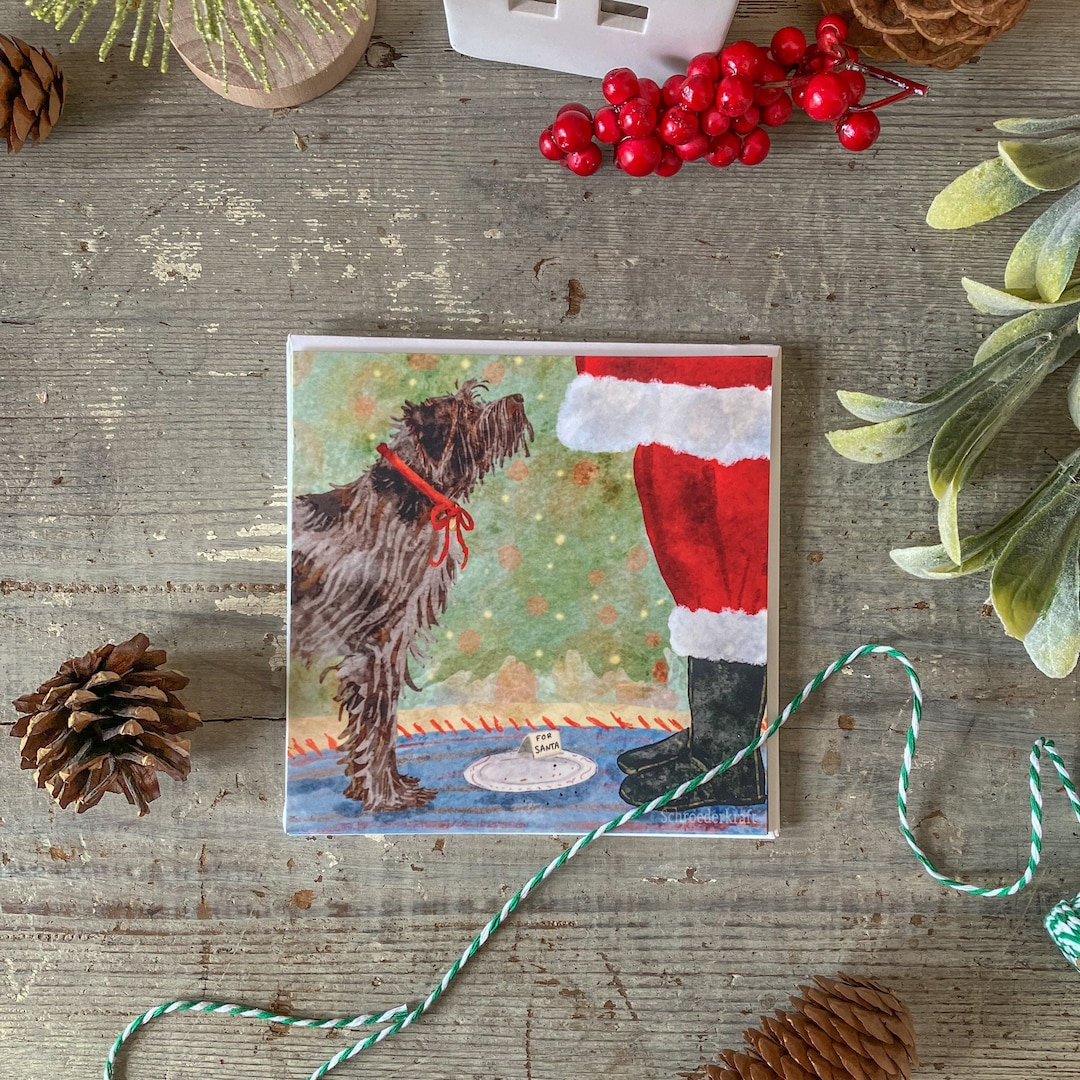 Bird Dog Meets Santa, Wirehaired Pointing Griffon Christmas Card ...