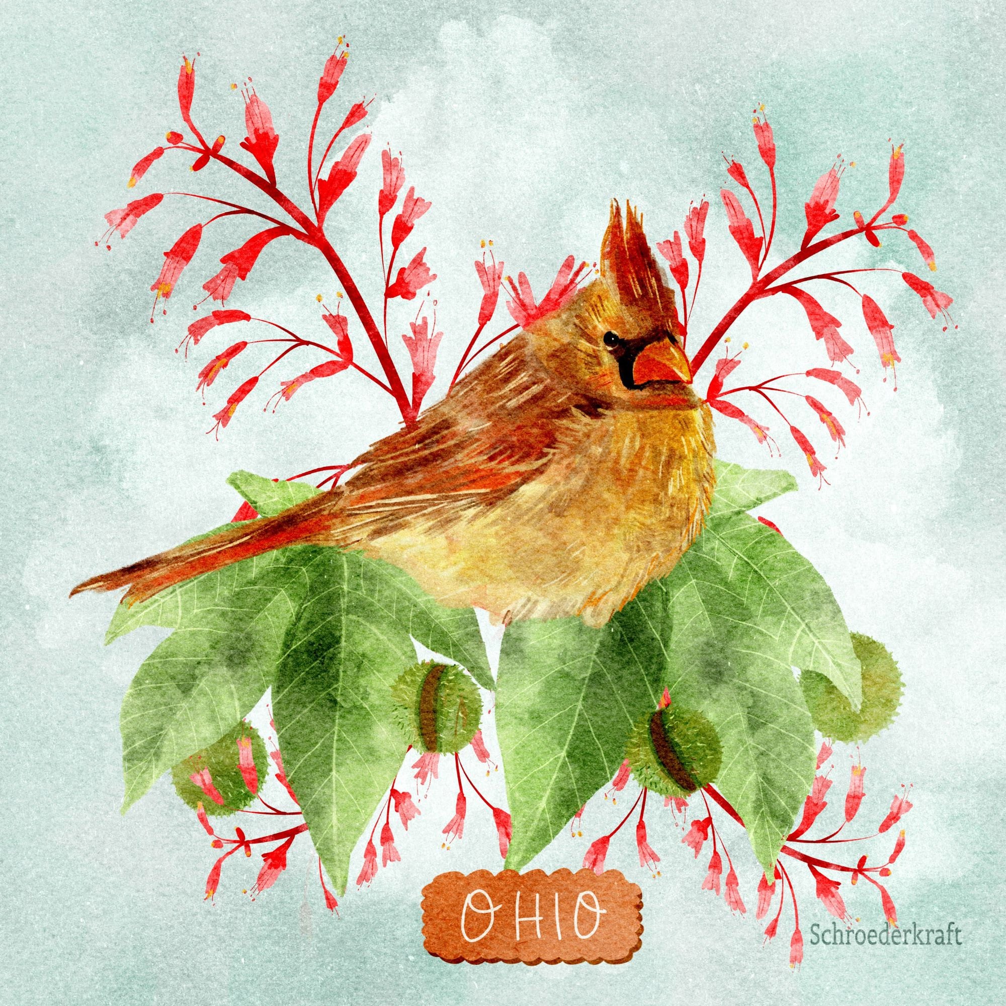 Ohio Print, Ohio Bird, Cardinal Print, State Bird Print, Buckeye Print ...