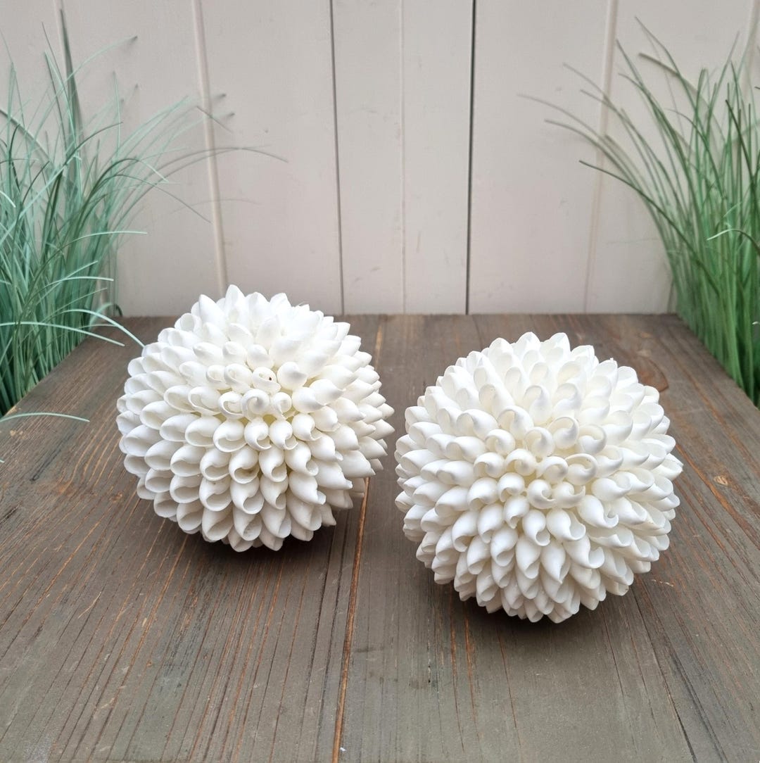 2 Coastal Shell Balls, White Sea Shell Decorative Orbs, Beach House ...