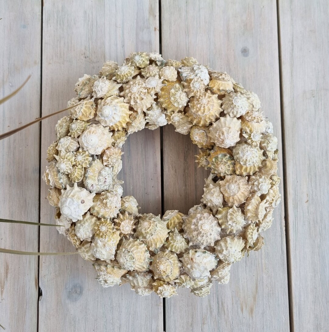 Astrea Calcar Shell Wreath, Coastal Decor, Beach Decor, Beach Wreath ...