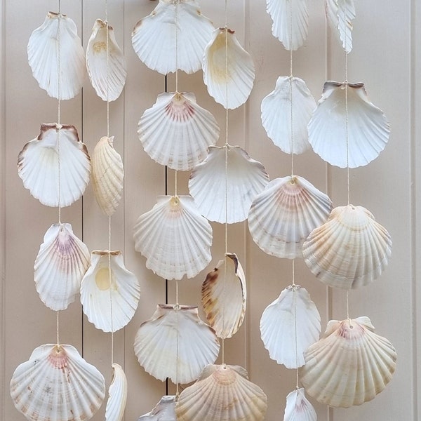 Shell Wall Decor - Etsy
