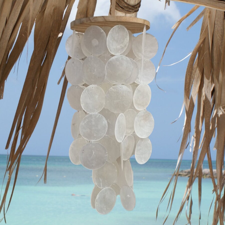 SunnyShellsNL - Etsy