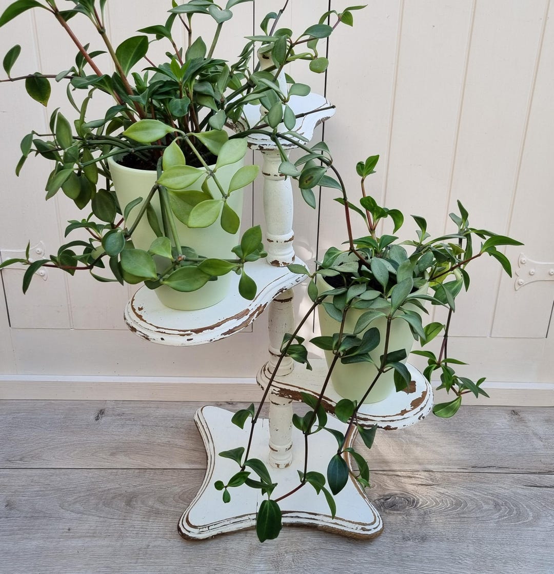Distressed 3 Tier Plant Stand, Three Tier Plant Table, White Wooden ...