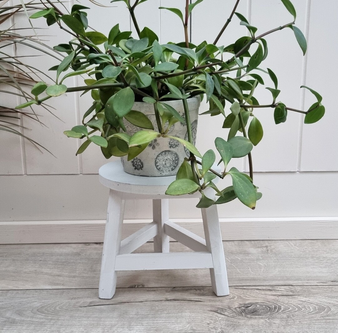 White Wooden Stool, 3 Legged Plant Table, Tripod Wooden Plant Stand ...