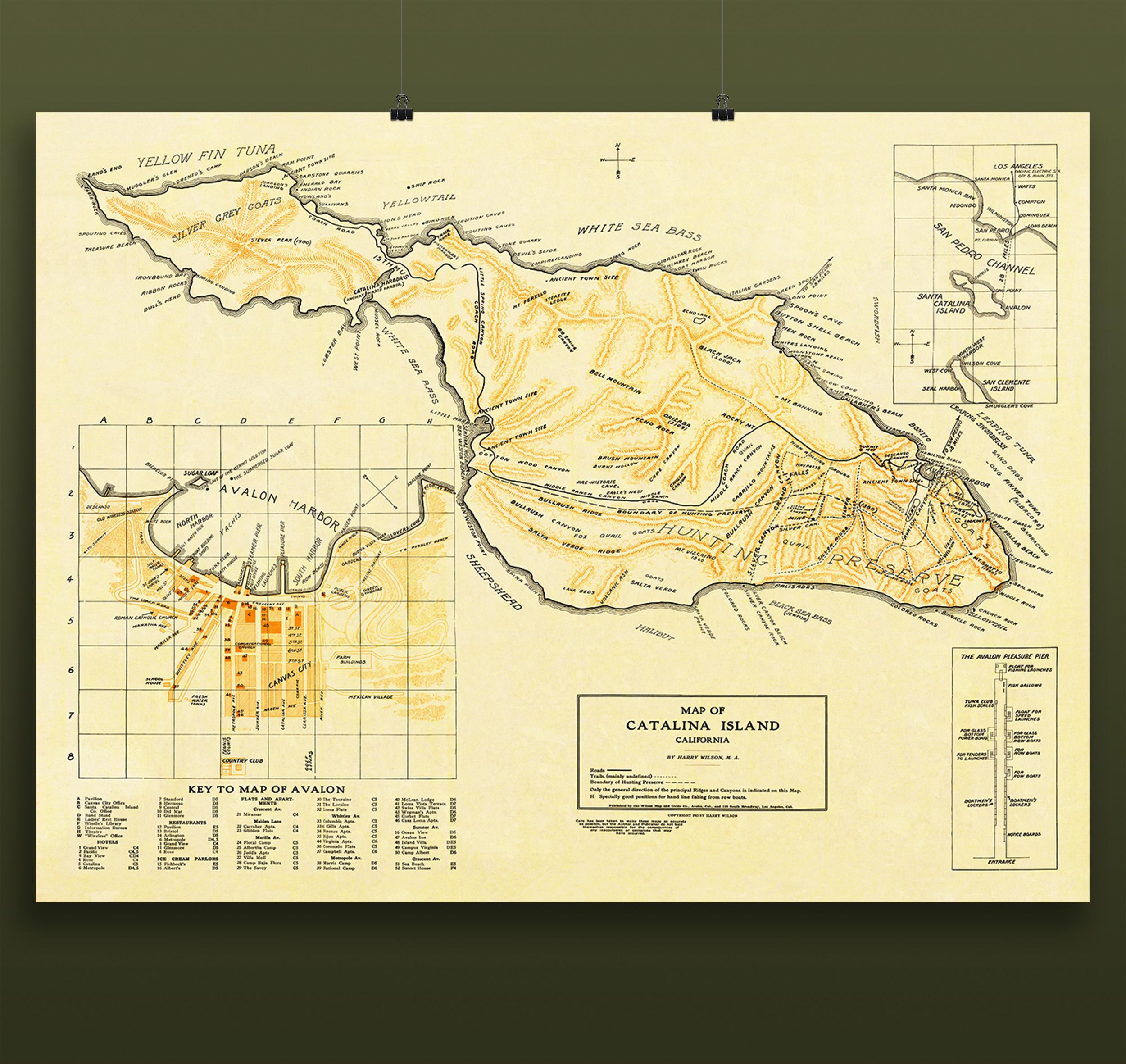 Vintage Catalina Island Map – Historical California Coast Poster ...