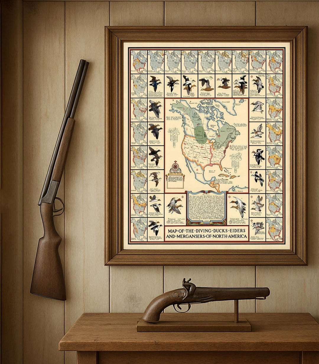 Map of the Diving Ducks, Eiders, and Mergansers of North America ...
