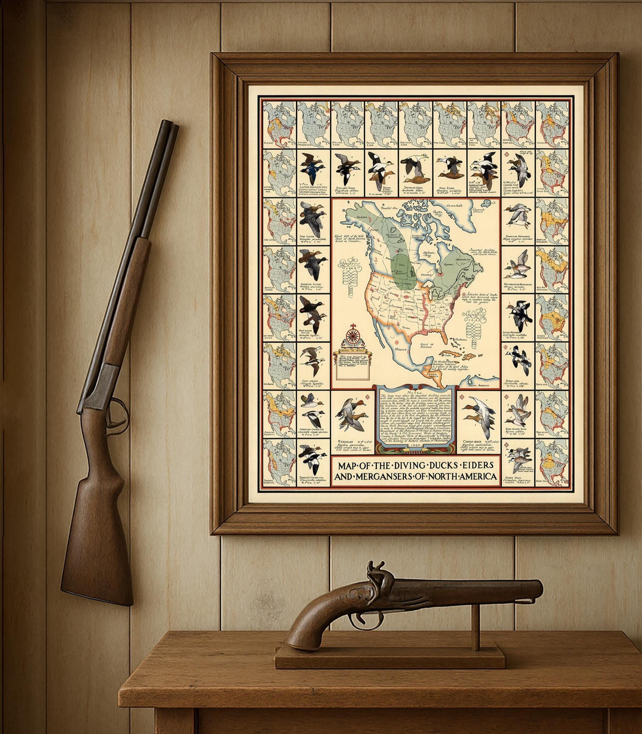 Vintage Duck Migration Map Poster – North America Bird Map – Antique ...