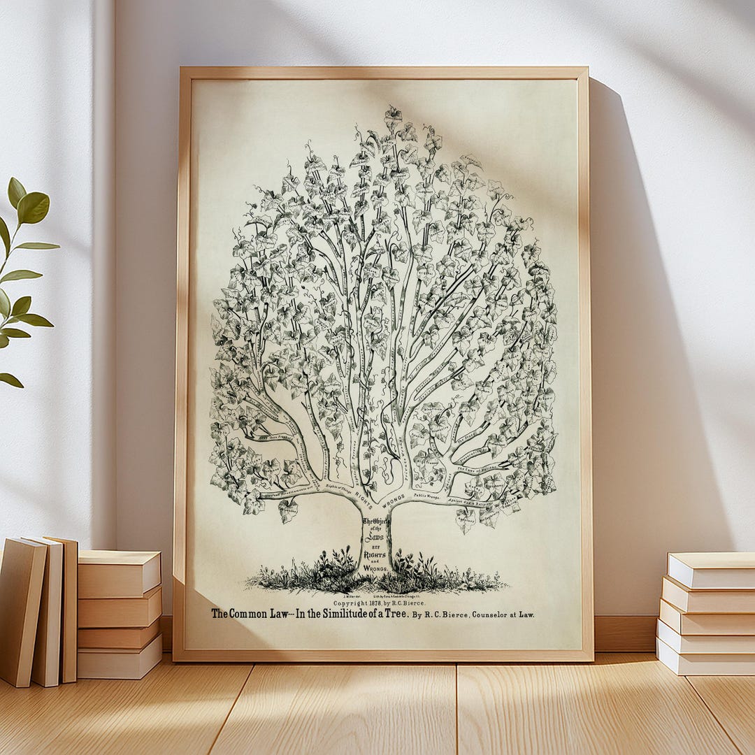 The Common Law in the Similitude of a Tree Poster – 1872 Legal Diagram ...
