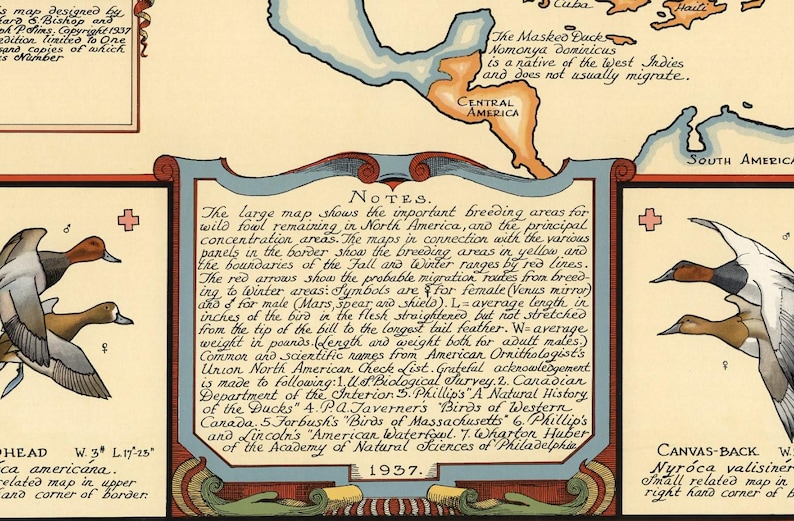 Vintage Duck Migration Map Poster – North America Bird Map – Antique ...
