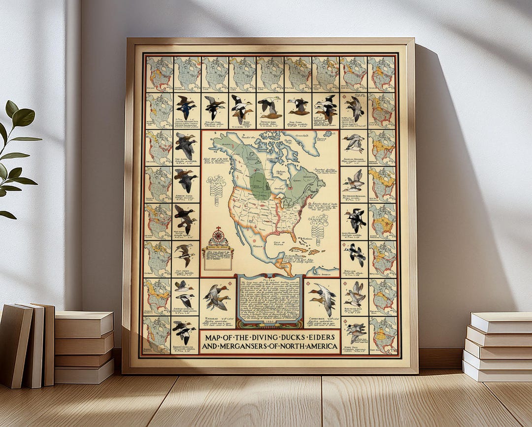 Vintage Duck Migration Map Poster – North America Bird Map – Antique ...