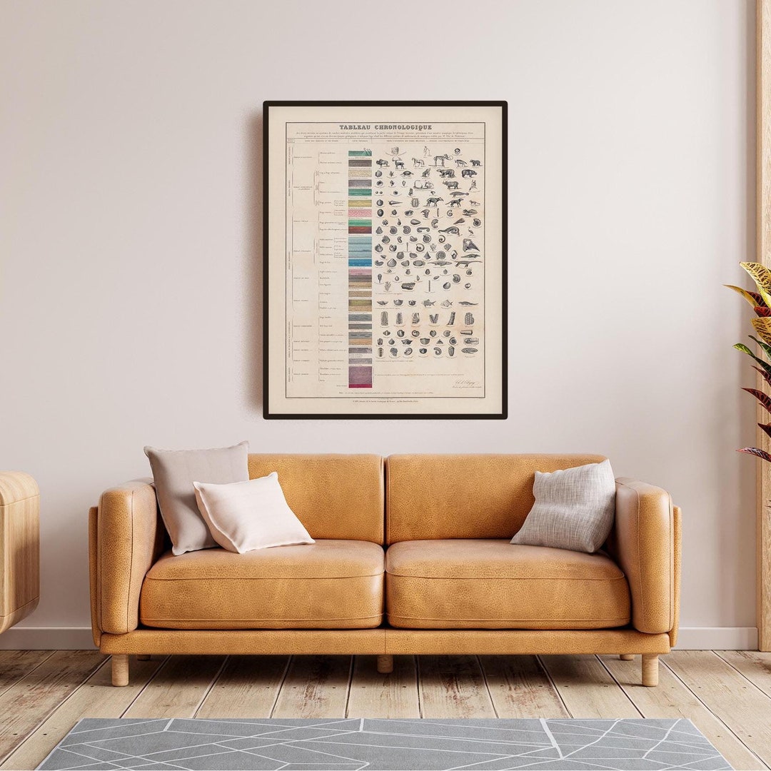 Vintage Fossil Chart Poster – Tableau Chronologique – Paleontology Wall ...