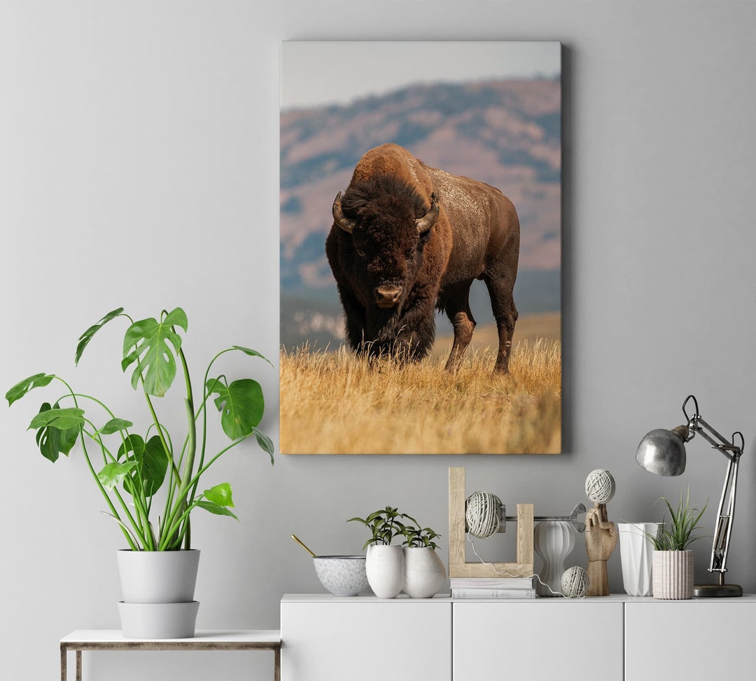 Bison Print Bull Canvas Buffalo Print Animals Art Print Ready to Hang ...
