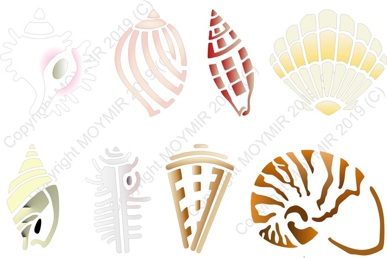 Decorative Shell Stencil Craft Scrapbooking Quilting Template | Etsy
