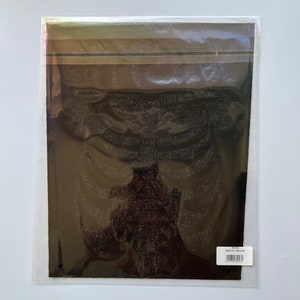 Misfits Ribcage Punk Rock Back Patch Official 14 X 11 Inches - Etsy