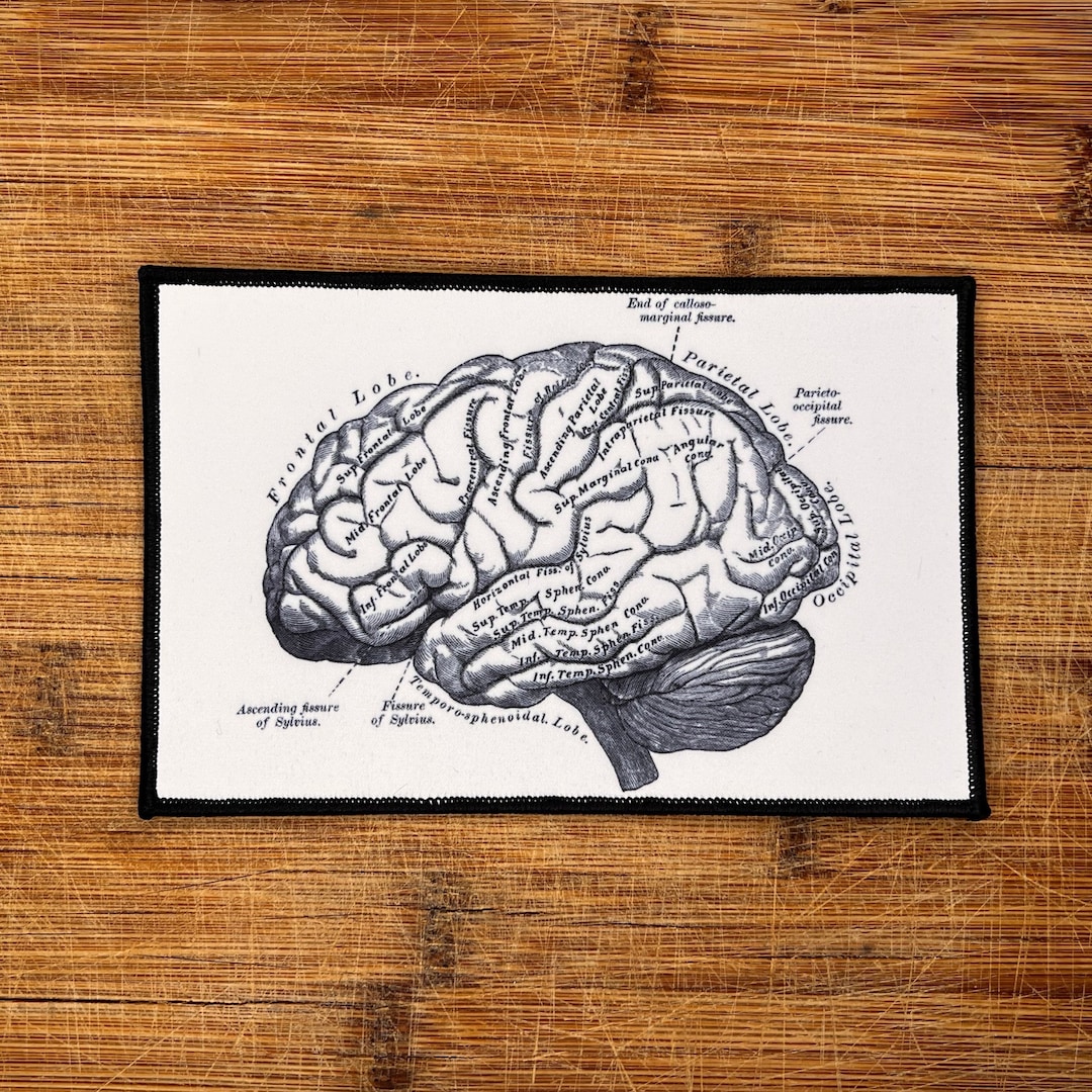 6.25x3 Inch Anatomical Brain Patch - Sublimated Iron-on Patch for DIY ...