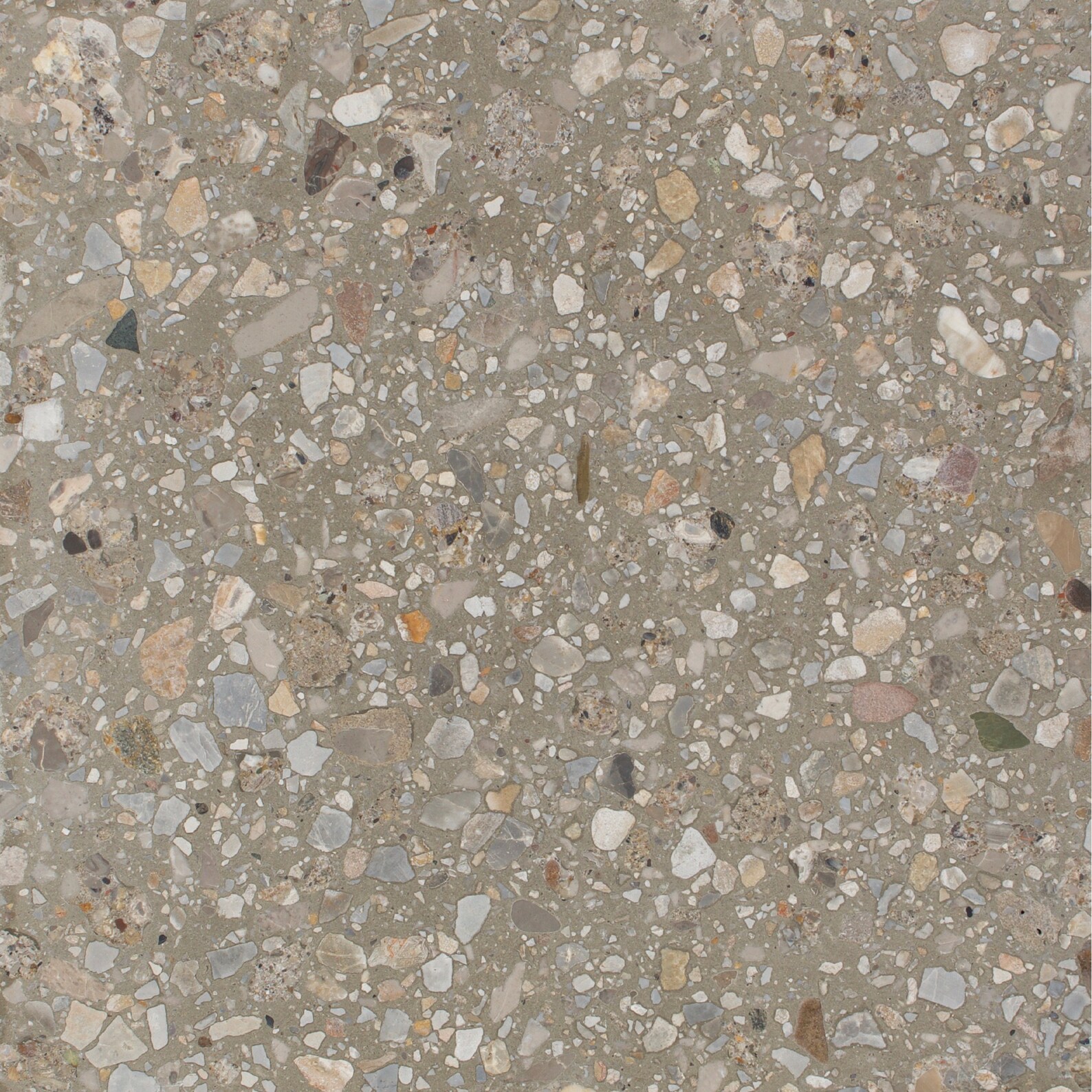 Lipari 16x16 Terrazzo Tile - Lot of 106 Sq Ft - Etsy