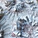 Septastrea - Etsy