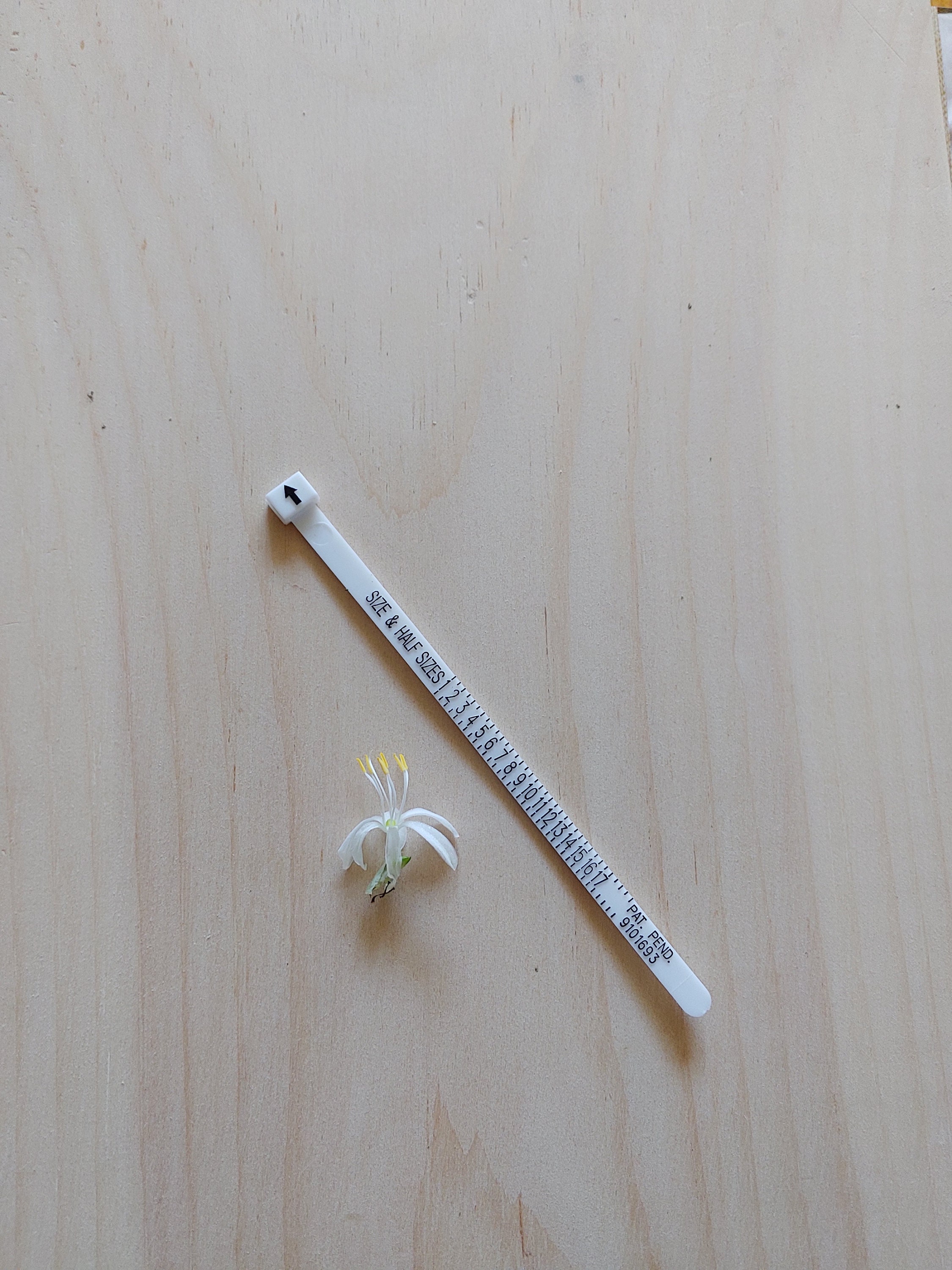 Ring Sizer Ring Multisizer US Sizes Ring Sizer Adjustable | Etsy