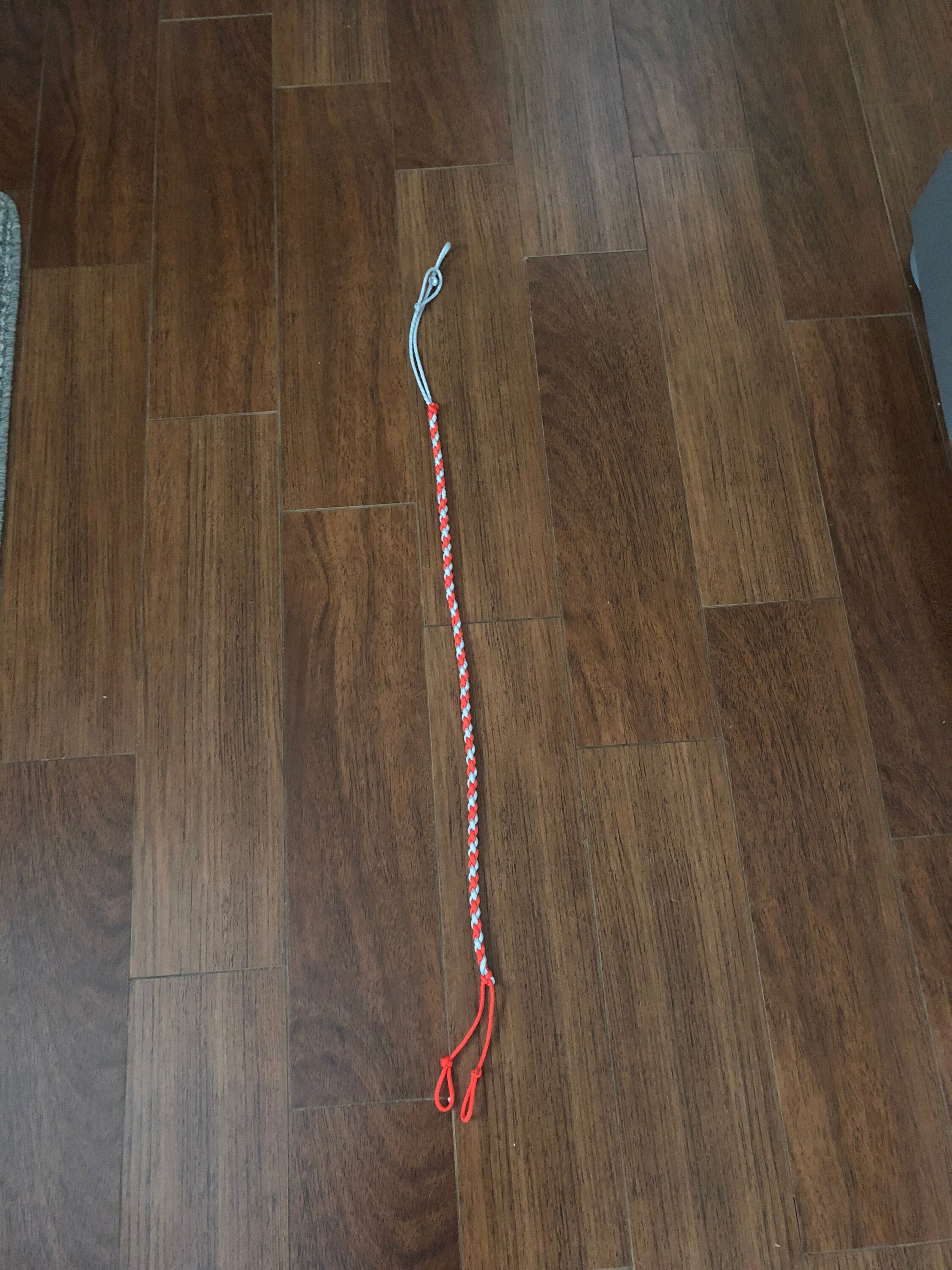 Deluxe Braided Para-cord Bird Carrier - Etsy