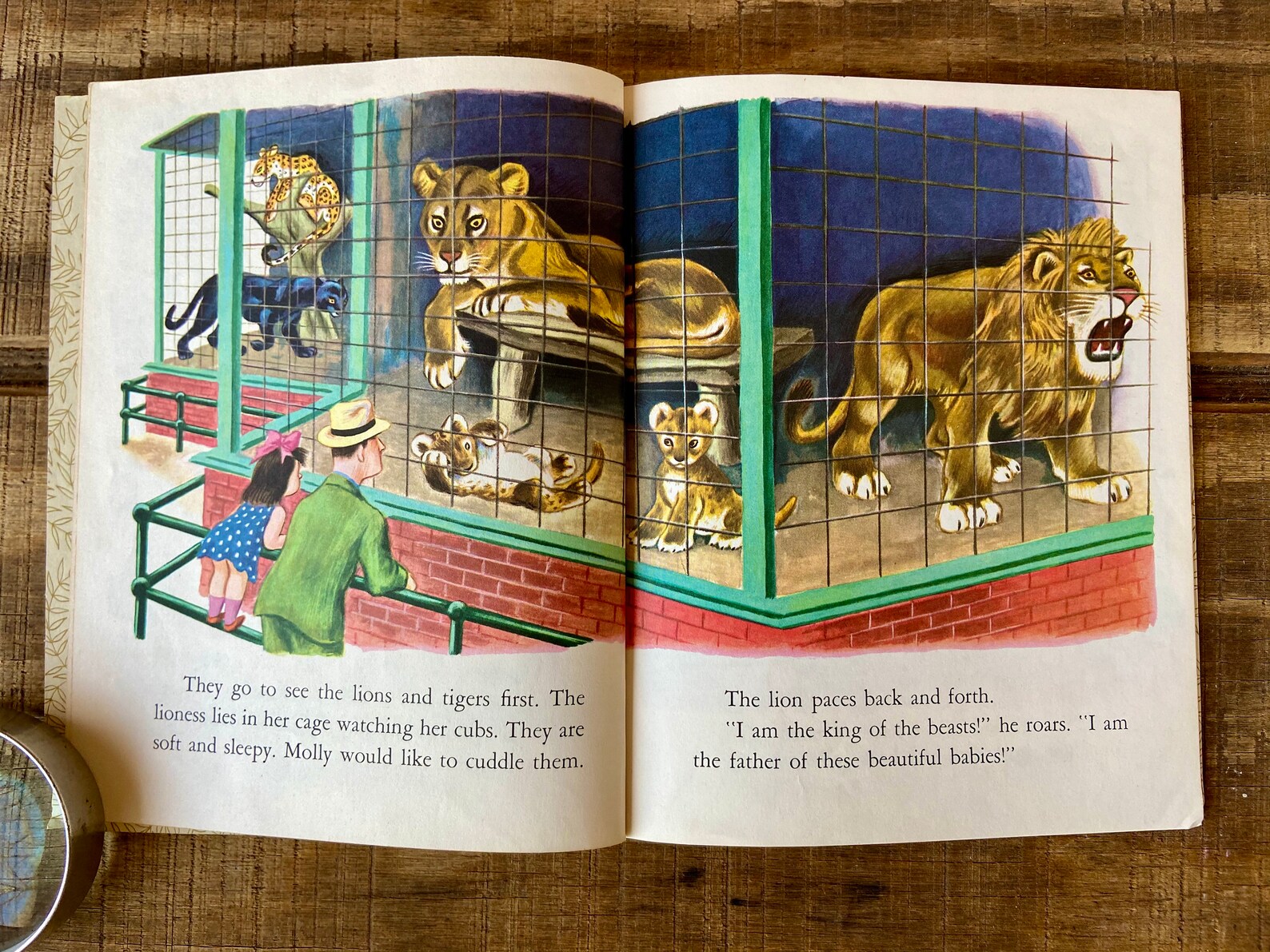 Children's Book A Day at the Zoo by Marion Conger A | Etsy