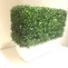 MINI HEDGE PLANTS - Etsy