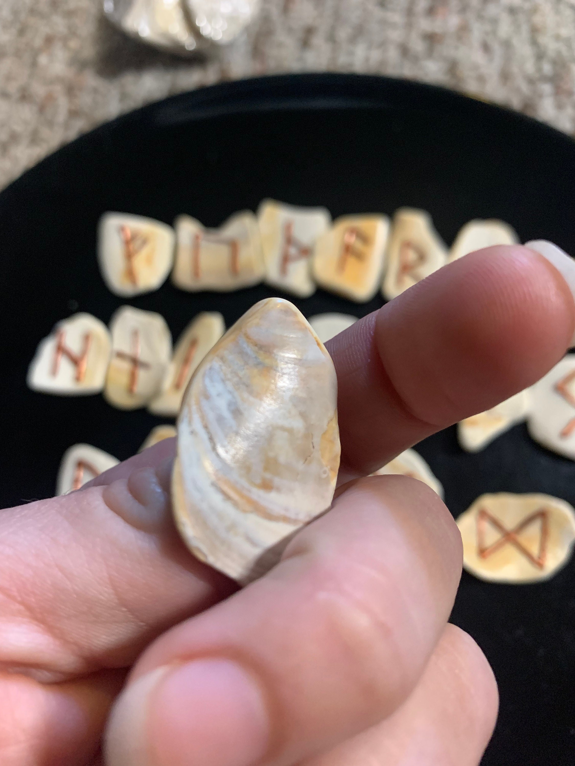 Copper Elder Futhark Rune Set on Large Shell Pieces. Sensory, Pagan ...