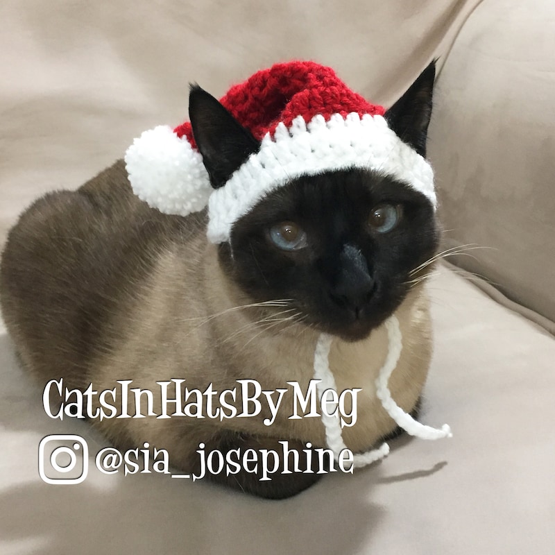Hats for Cats - Etsy