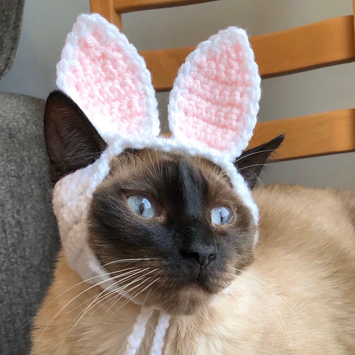 Bunny Rabbit Ear Hat for Cats | Etsy