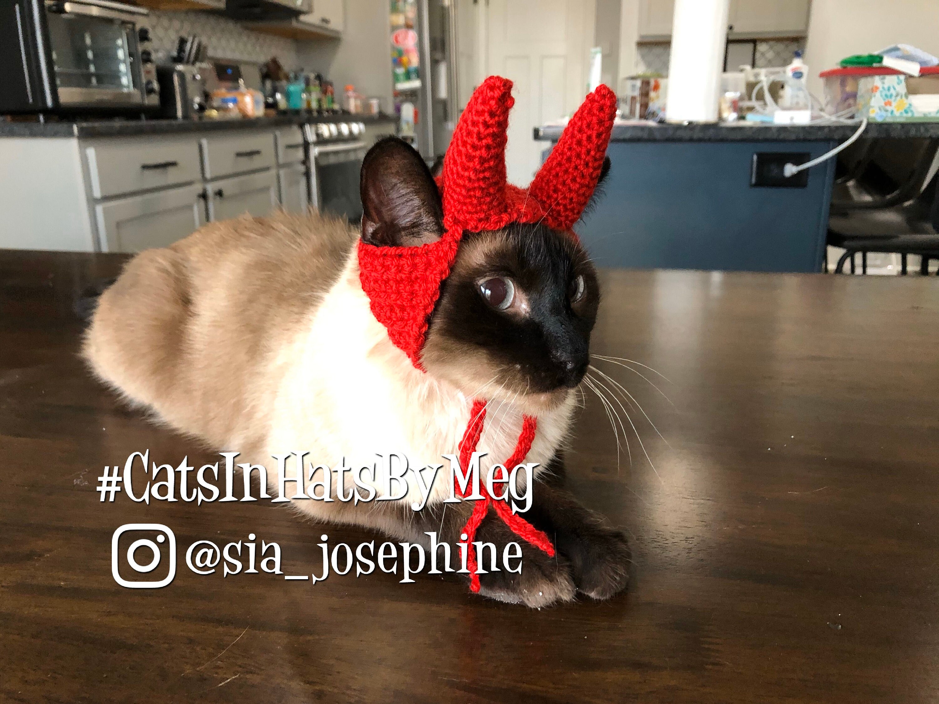 Devil Hat for Cats | Etsy