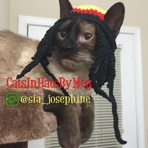 Rasta Hat for Cats - Etsy