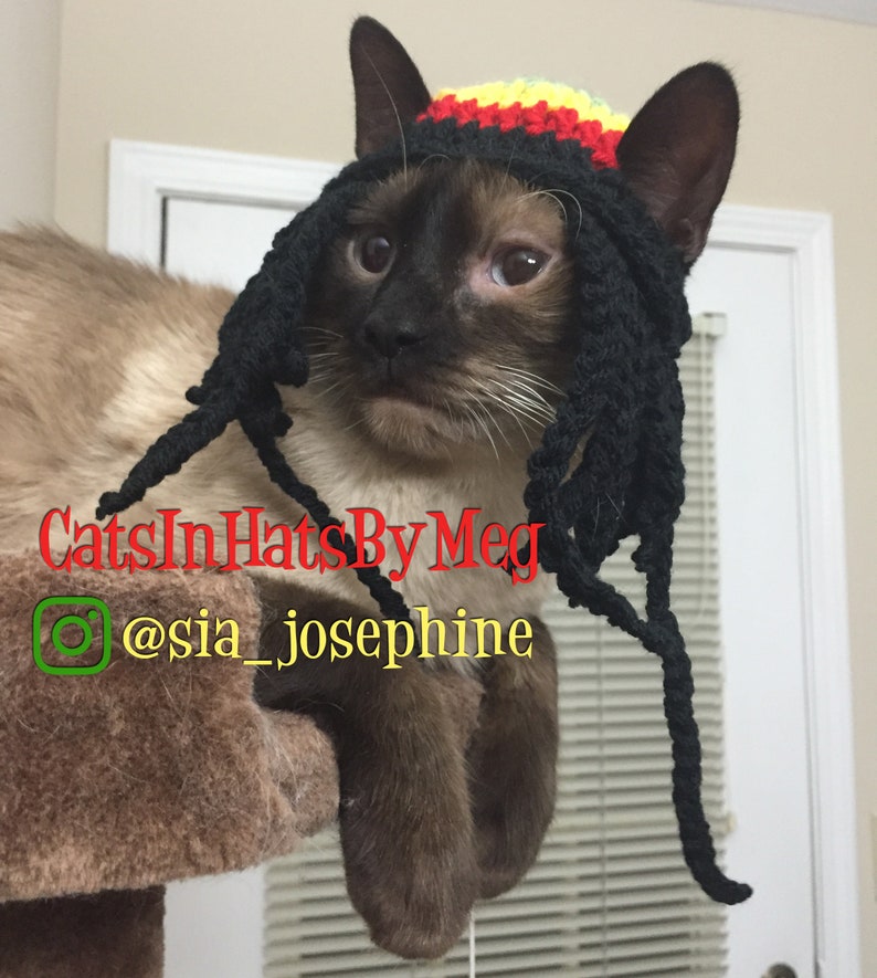 Rasta Hat for Cats - Etsy