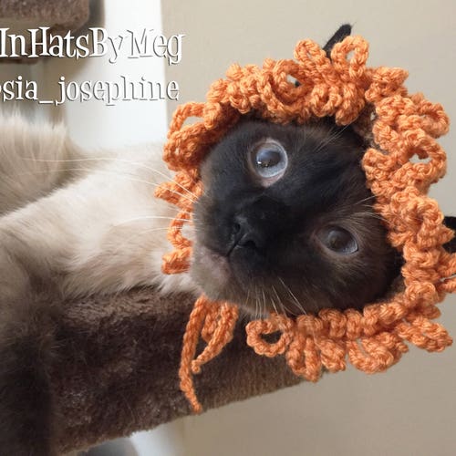 Bunny Rabbit Ear Hat for Cats | Etsy