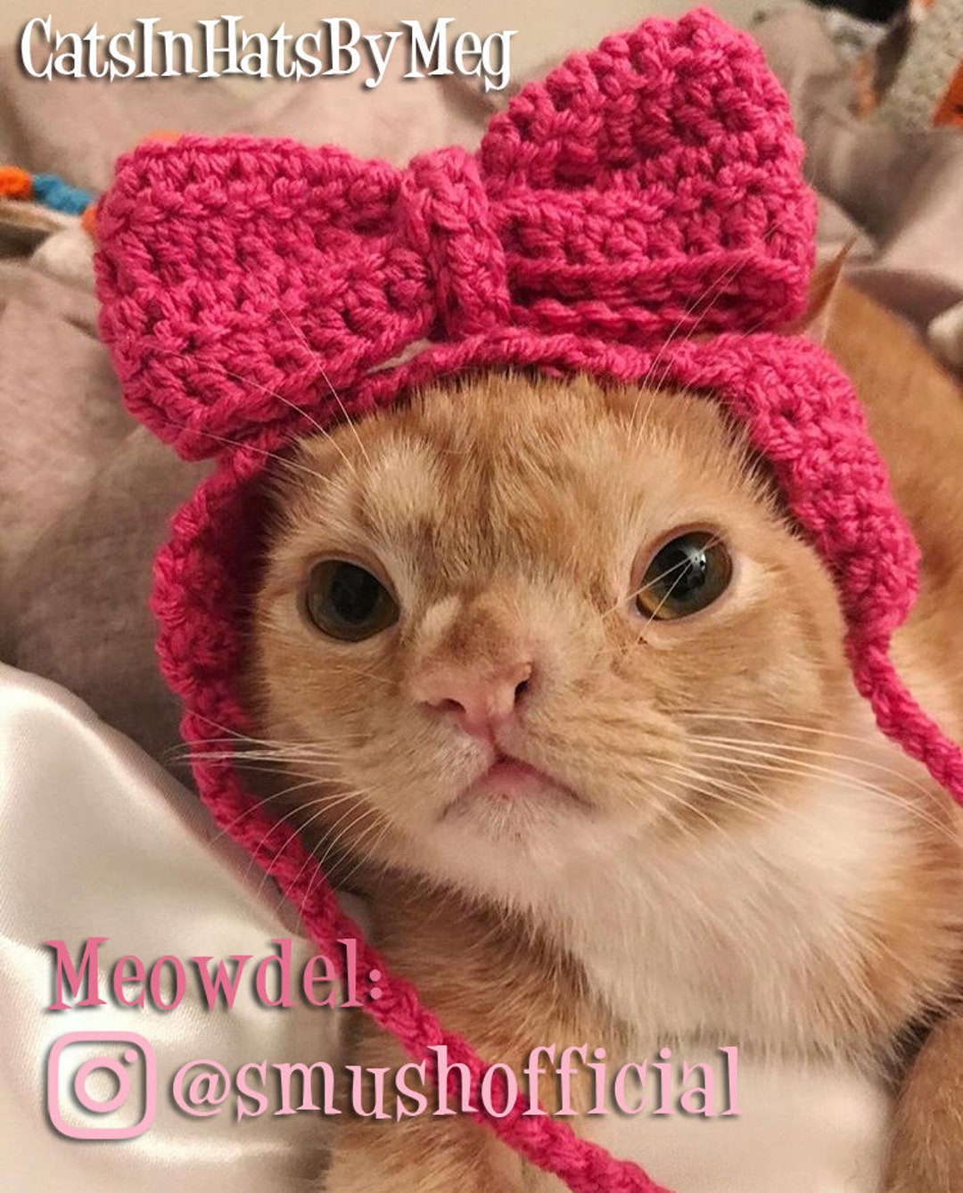 Large Bow Hat for Cats - Etsy