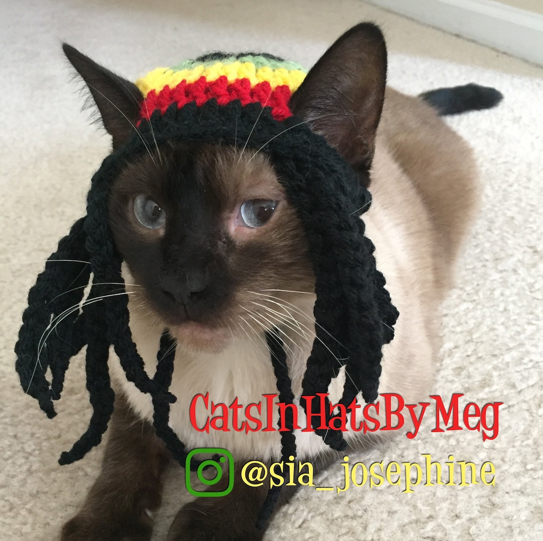 Rasta Hat for Cats - Etsy