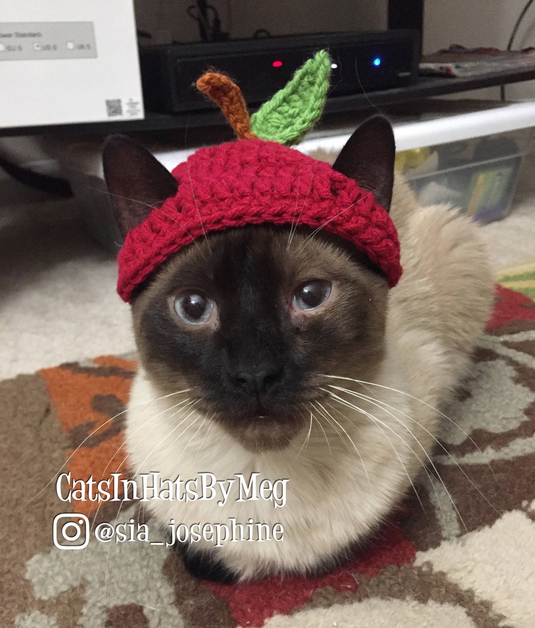 Apple Hat for Cats - Etsy