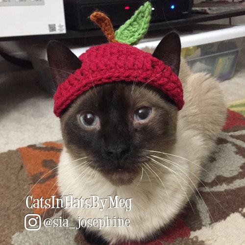 Hat for Cats Toboggan Cat Hat Beanie for Cast & Kittens Cat | Etsy