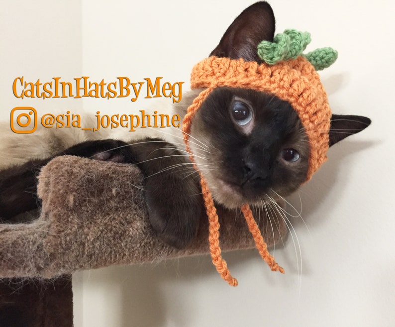 Pumpkin Hat for Cats | Etsy