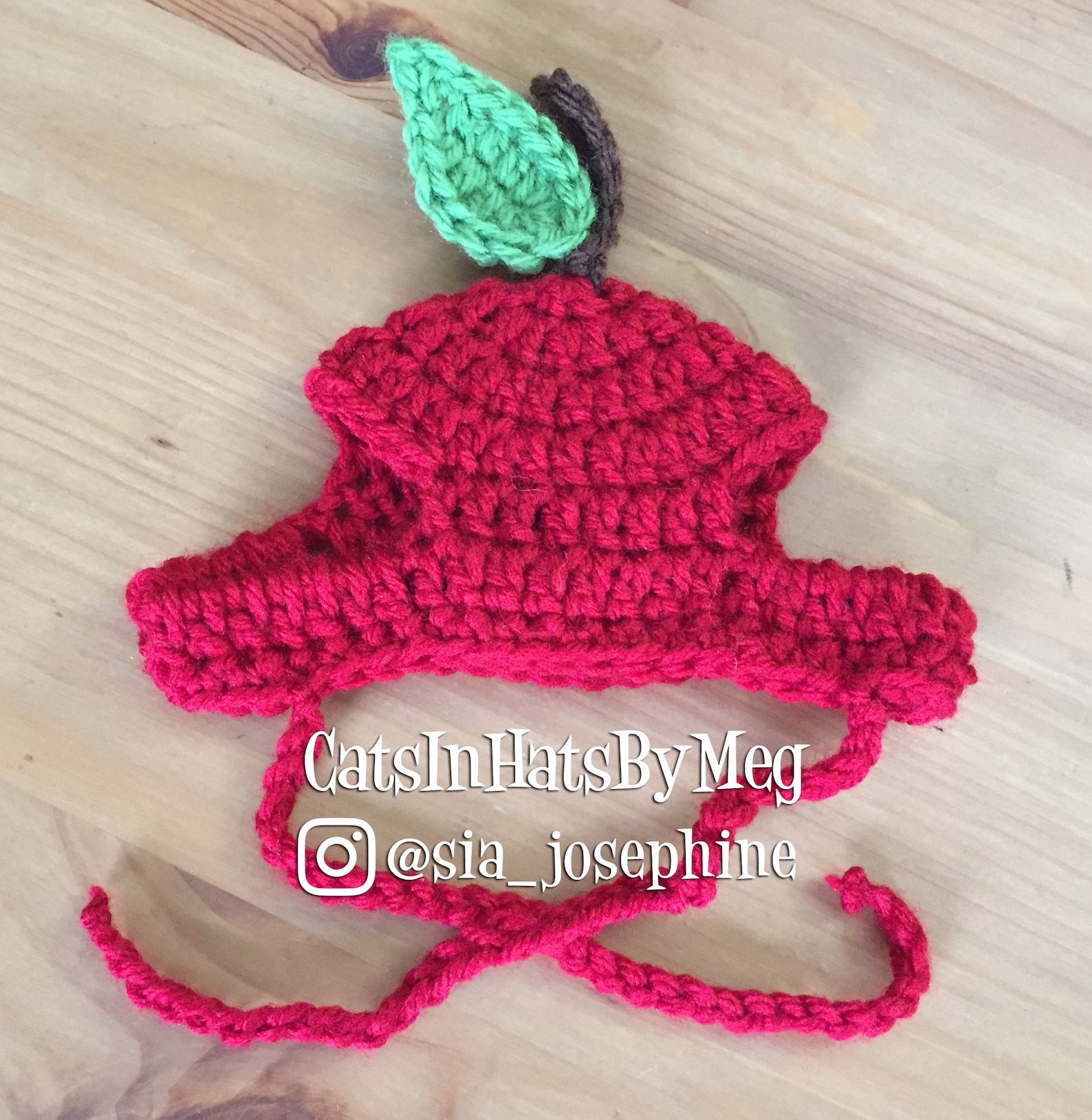 Apple Hat for Cats - Etsy