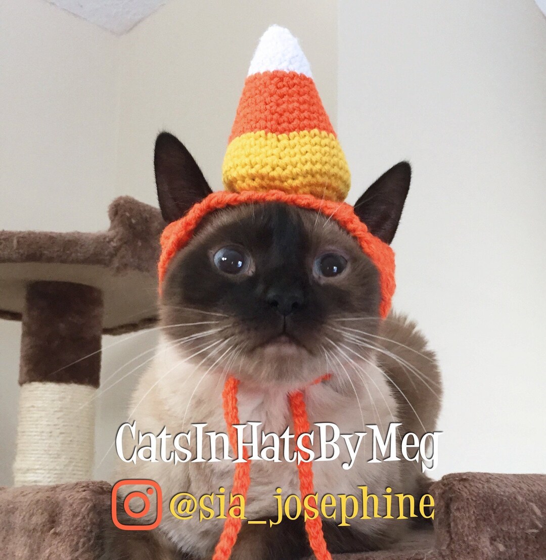 Candy Corn Hat for Cats - Etsy