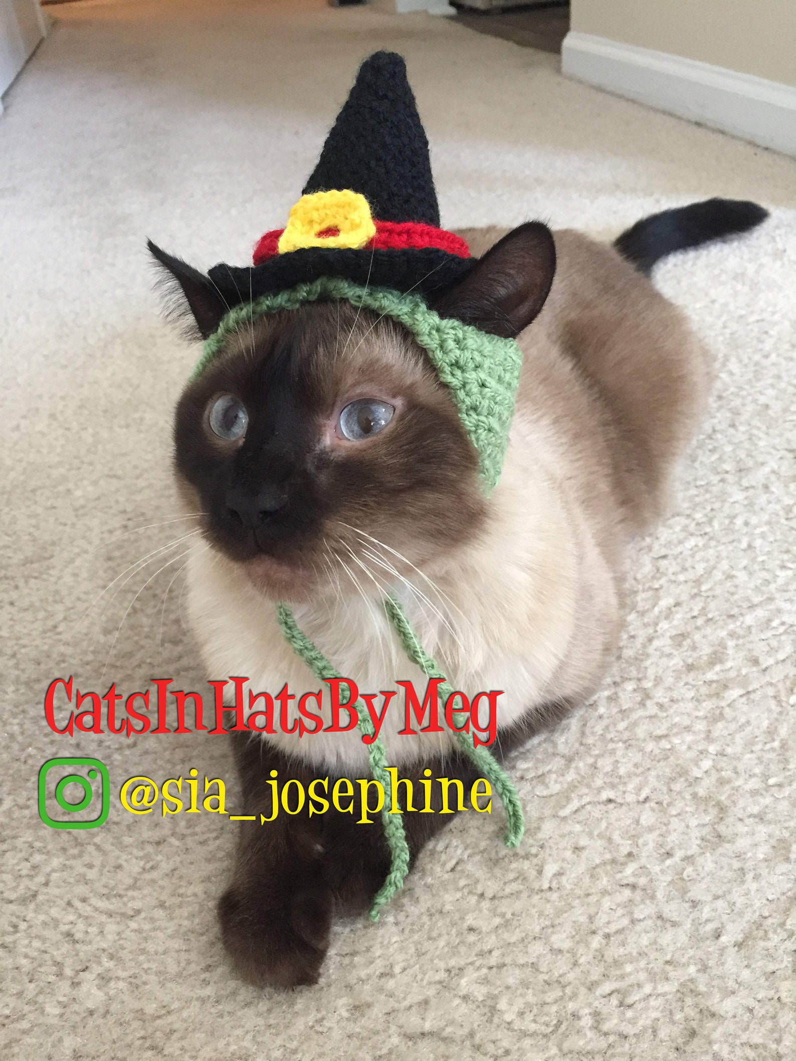 Witch Hat for Cats - Etsy