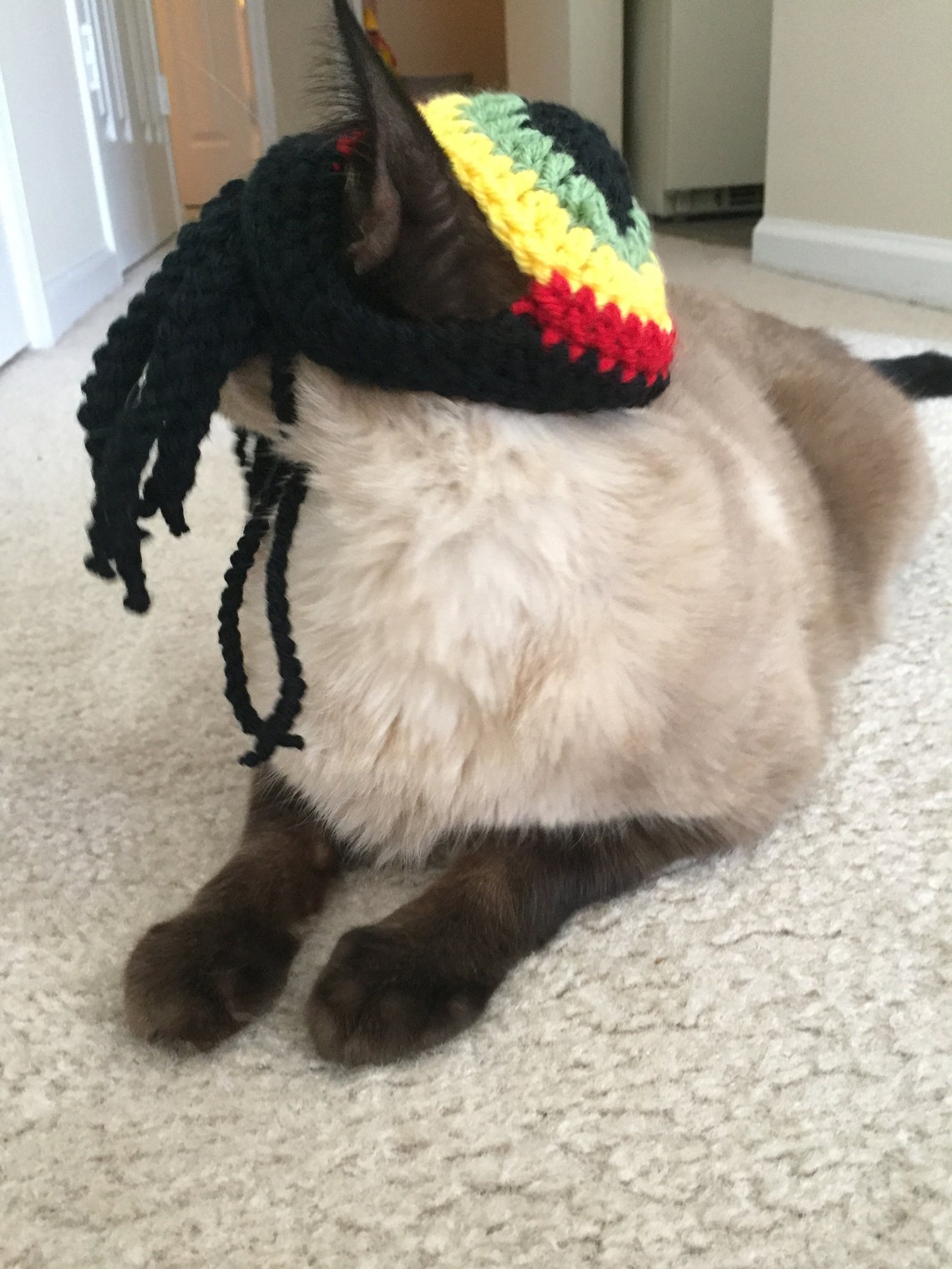 Rasta Hat for Cats - Etsy