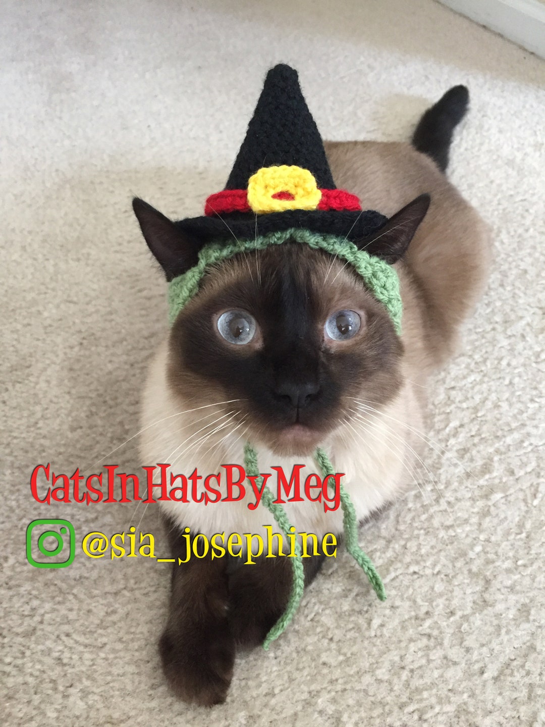 Witch Hat for Cats - Etsy
