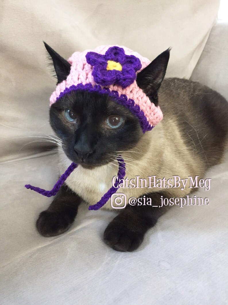 Flower Hat for Cats - Etsy
