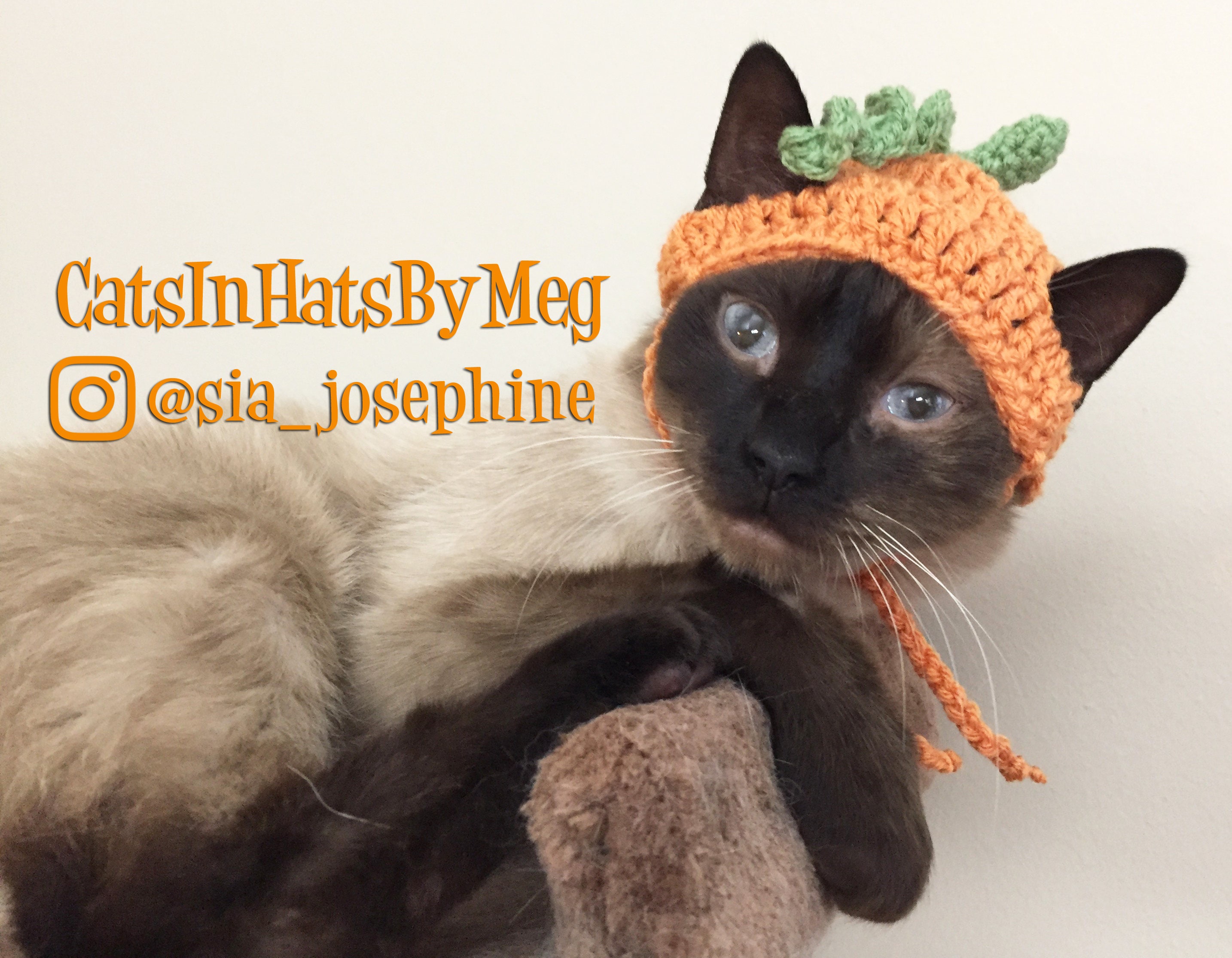 Pumpkin Hat for Cats | Etsy