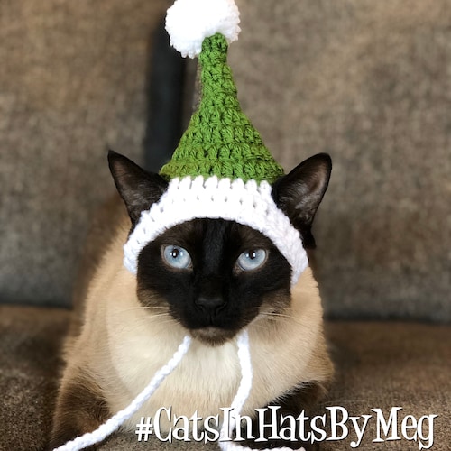 MADE TO ORDER Piña Colada Cat Hat Hats for Cats Costumes for - Etsy