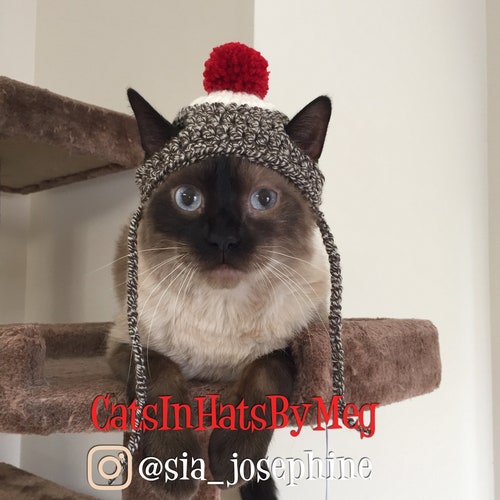 Apple Hat for Cats - Etsy