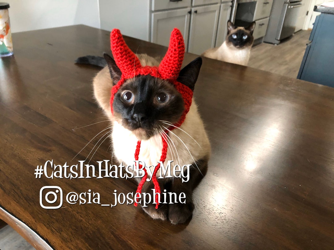 Devil Hat for Cats - Etsy