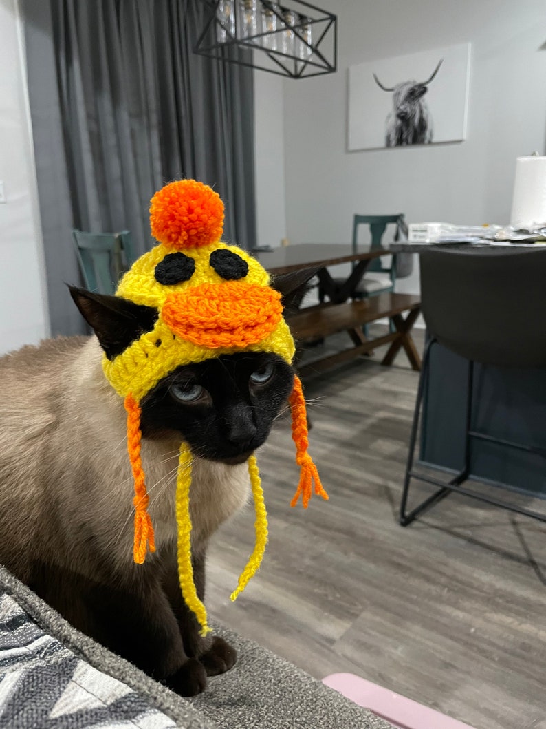 Duck Hat for Cats - Etsy
