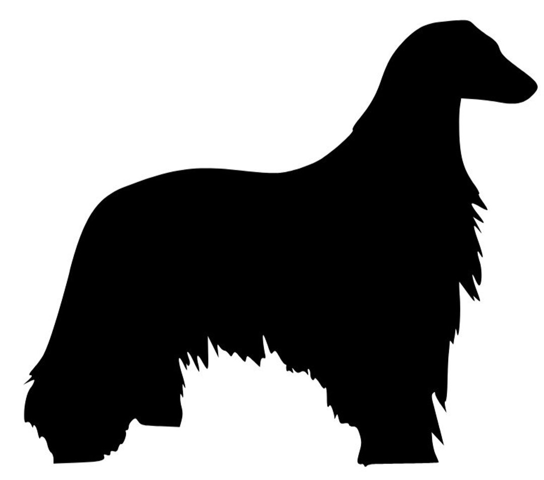 Afghan Hound Car Decal, Window Sticker. - Etsy